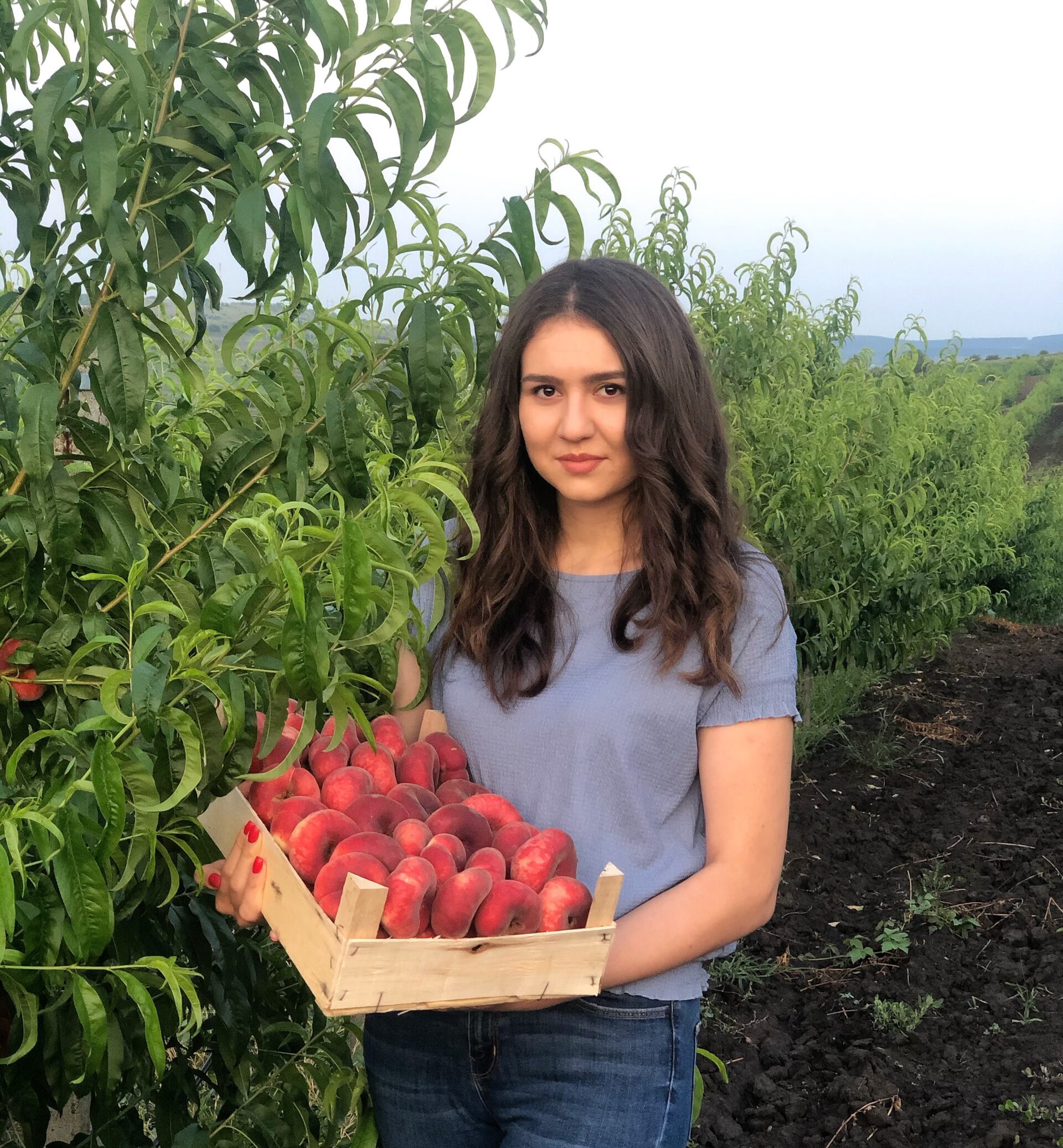 Moldova Fruct
