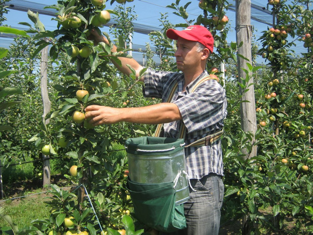 Moldova Fruct