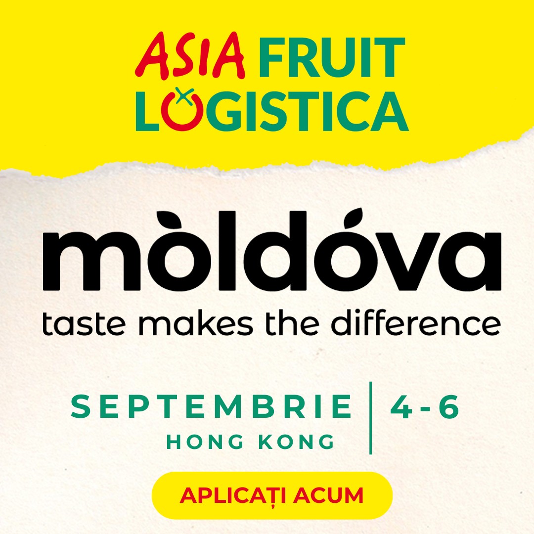 Moldova Fruct